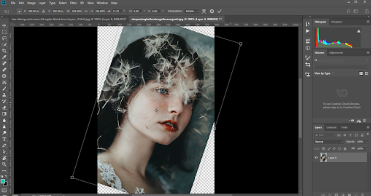Mastering Layers, Transforms & Image Resizing Tools In Photoshop